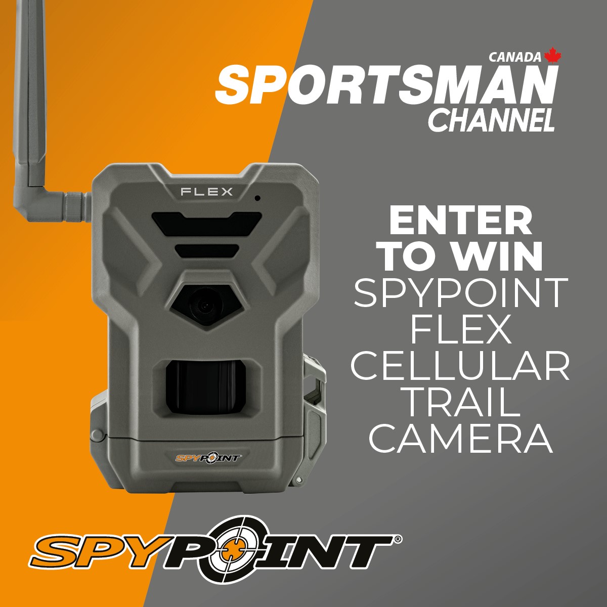 Enter to Win the SPYPOINT FLEX Cellular Trail Camera • Sportsman Canada
