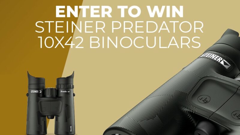 ENTER TO WIN STEINER PREDATOR 10X42 BINOCULARS • Sportsman Canada
